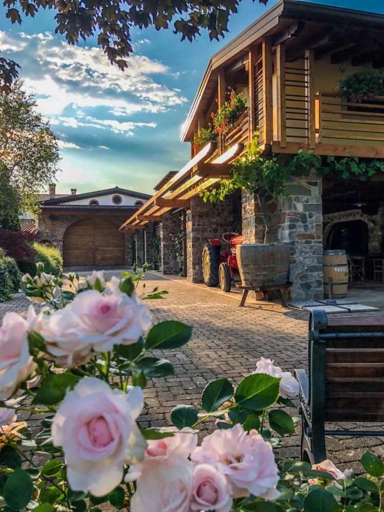 Il Gusto: Venica & Venica raccontata da Roberto Pavanello - Venica & Venica